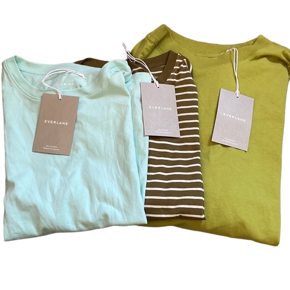 Everlane | Tops | Everlane Bundle Of 3 Size Large Crew Neck Short ...